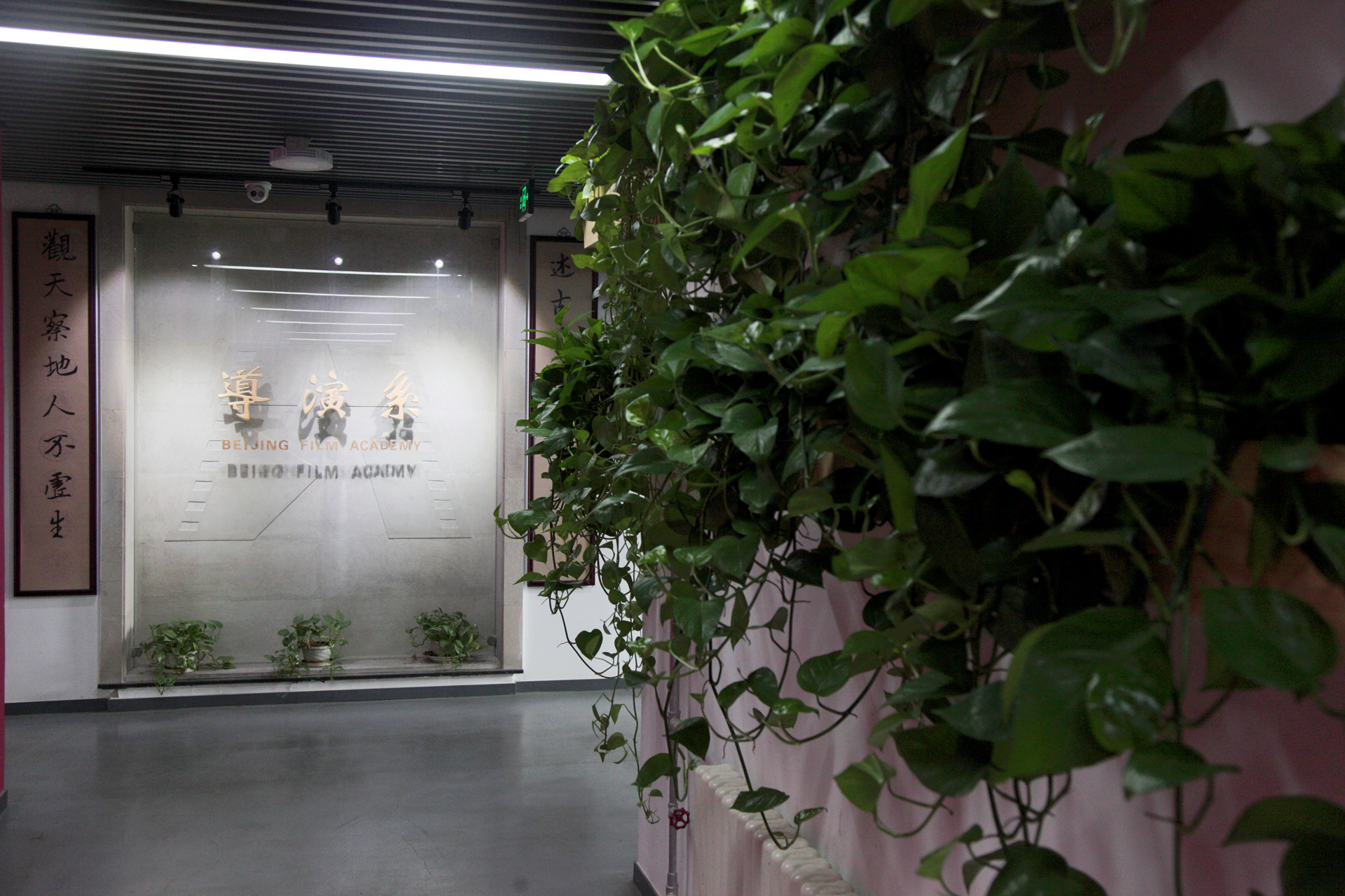 北京电影学院-导演系